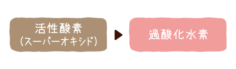 酵素でケアするあたらしいヘアケア「ENシリーズ」。 | ALORB