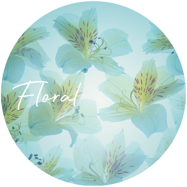 ヘアカラーを長くキープしたいなら「MOシリーズ」。 | ALORB