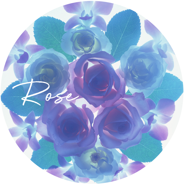 ヘアカラーを長くキープしたいなら「MOシリーズ」。 | ALORB